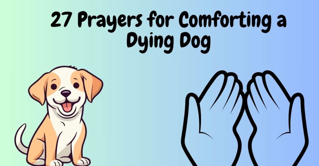 27 Prayers for Comforting a Dying Dog